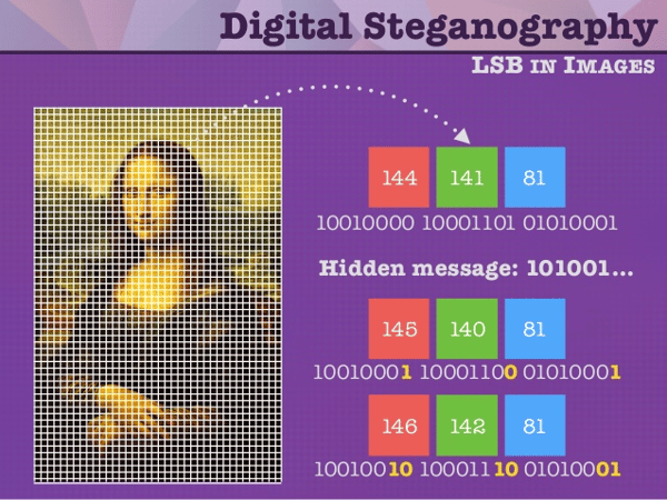 Threats Hiding in Plain Sight: Digital Steganography on the Rise